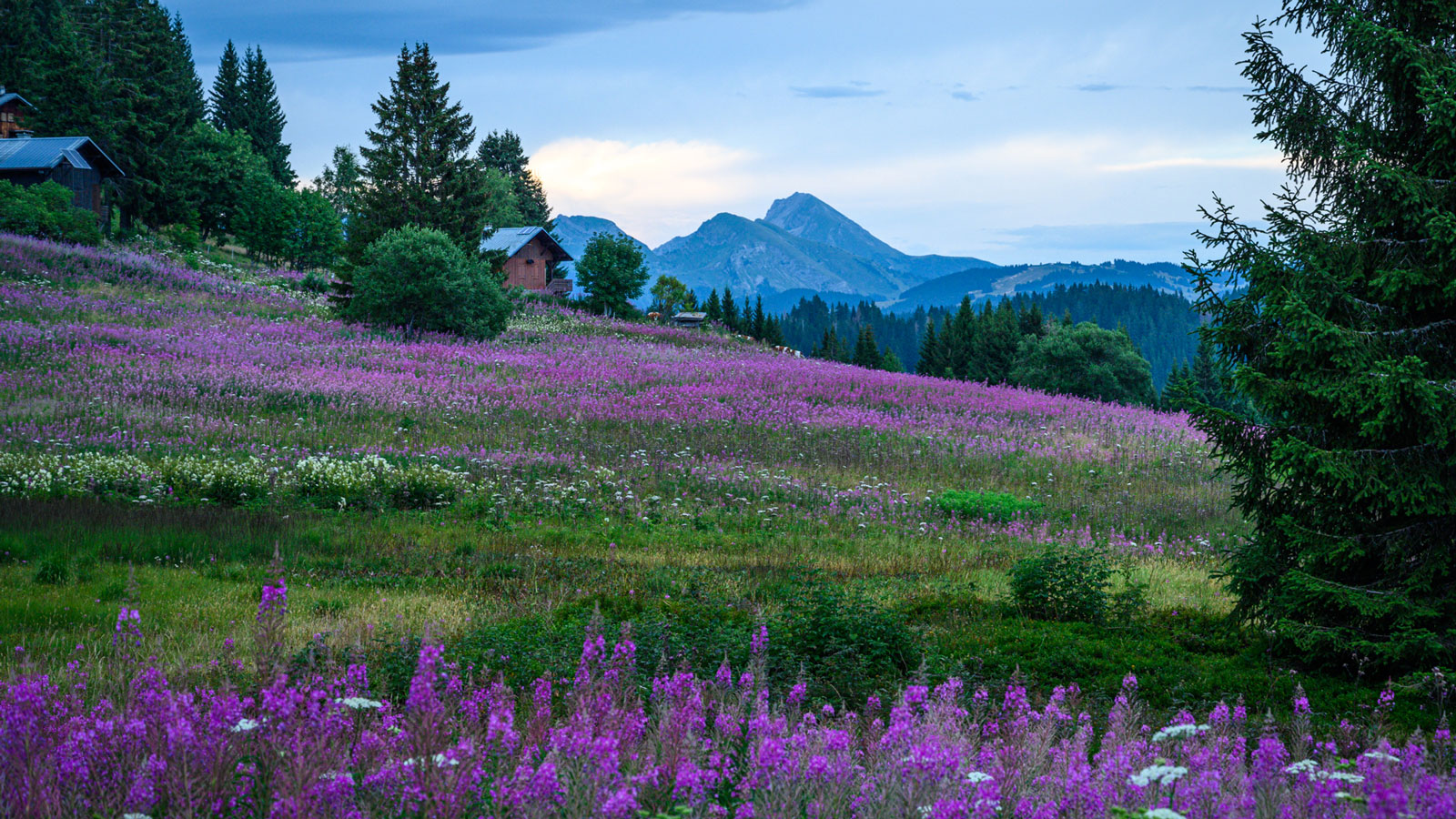 Verchaix, village de Haute Savoie - Haut-Giffre Tourisme